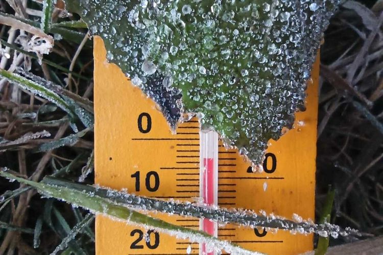 Dataran Tinggi Dieng Membeku, Suhu Udara di Bawah Nol Derajat Celsius Dataran Tinggi Dieng Membeku, Suhu Udara di Bawah Nol Derajat Celsius